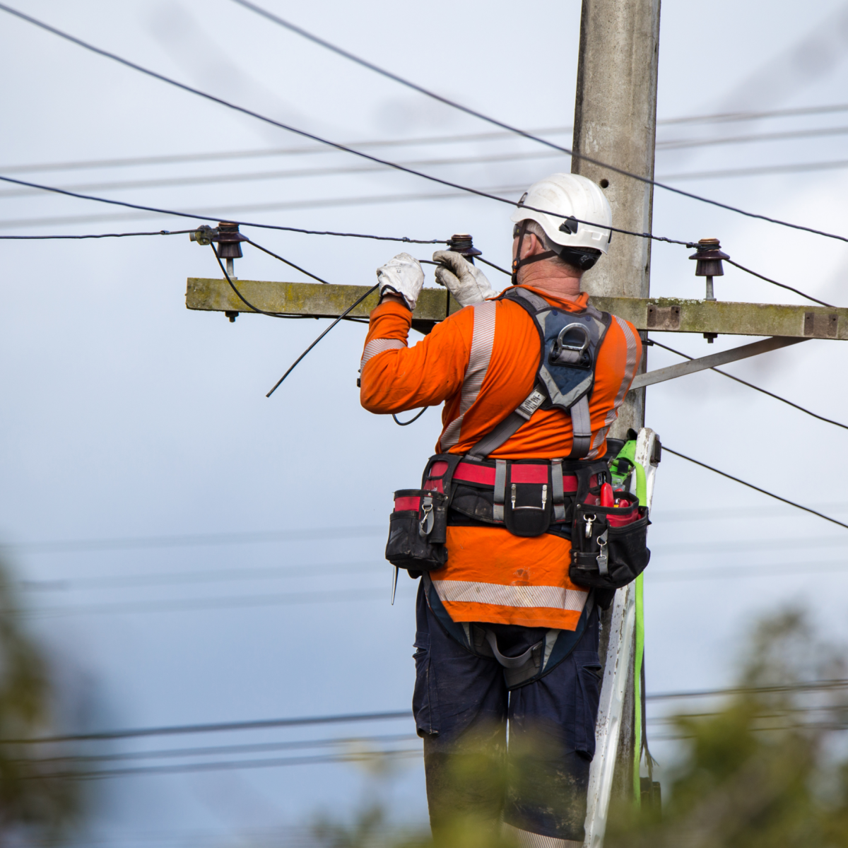 Climate and Energy Benchmark - Electric Utilities