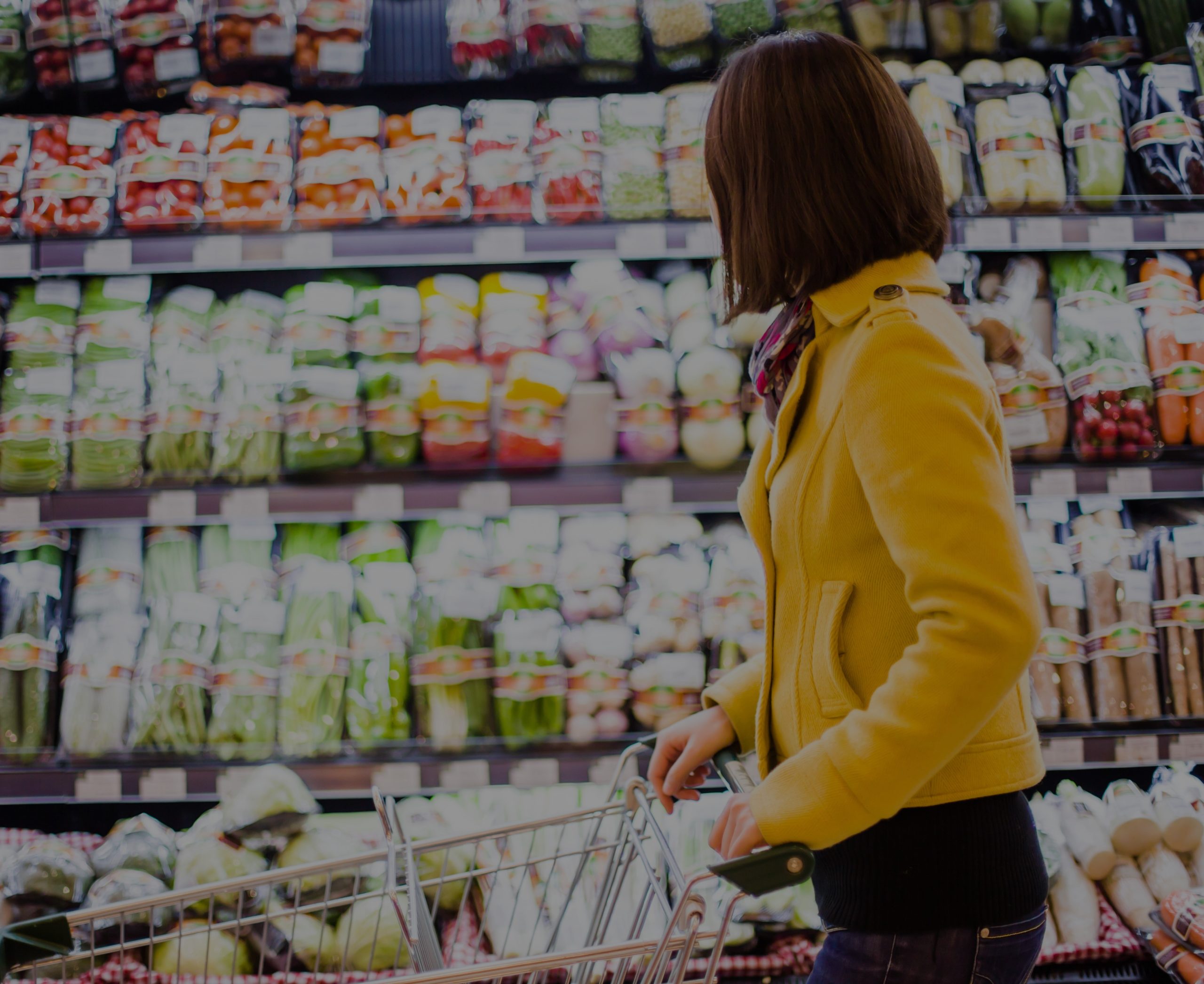 Food and Agriculture Benchmark: Investor Guidance