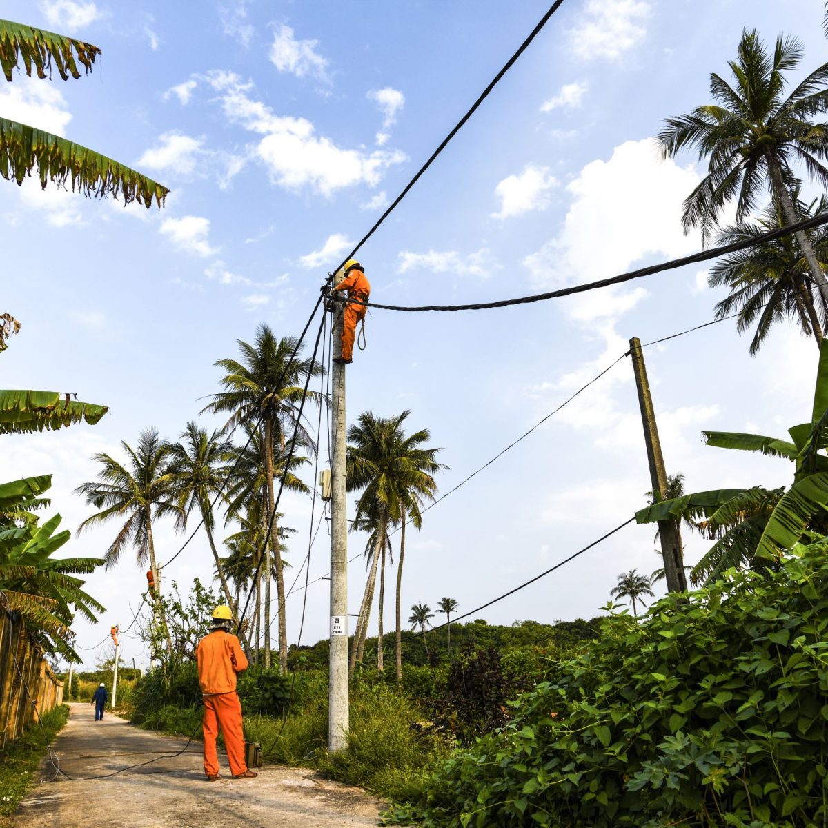 Climate and Energy Benchmark - Electric Utilities