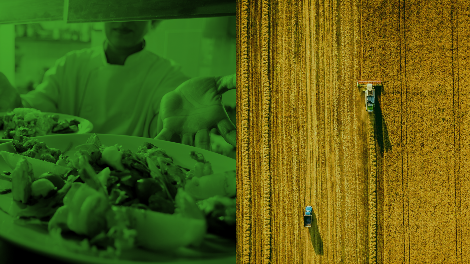 2021 Food and Agriculture Baseline Assessment | World Benchmarking Alliance