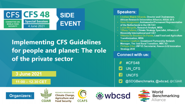Implementing CFS Guidelines for people and planet: the role of the ...