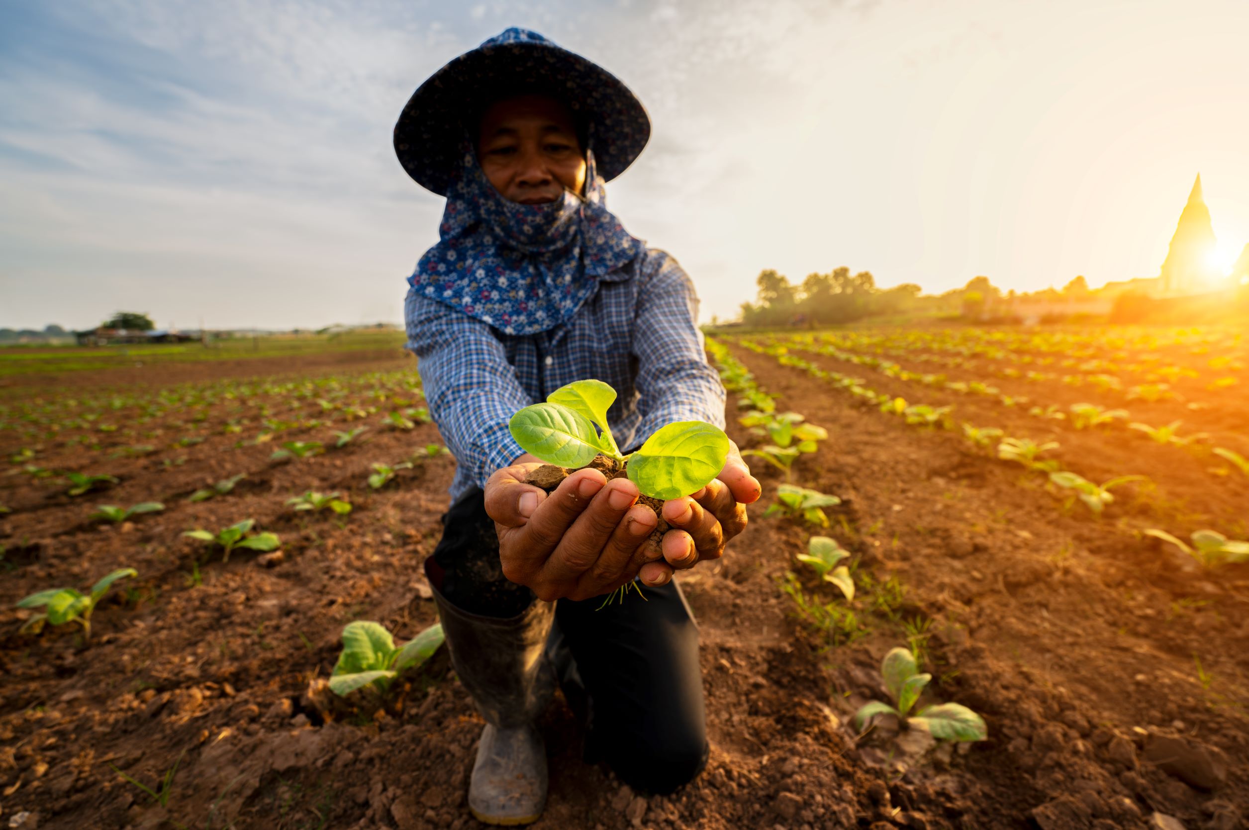 2021 Access to Seeds Index Insights Report | World Benchmarking Alliance