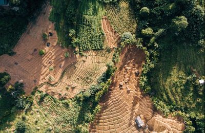 Home | World Benchmarking Alliance