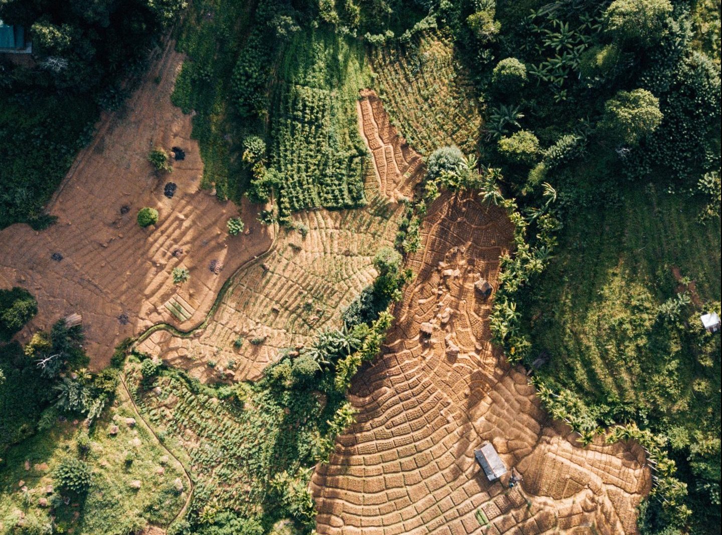 Nature Benchmark FAQ | World Benchmarking Alliance