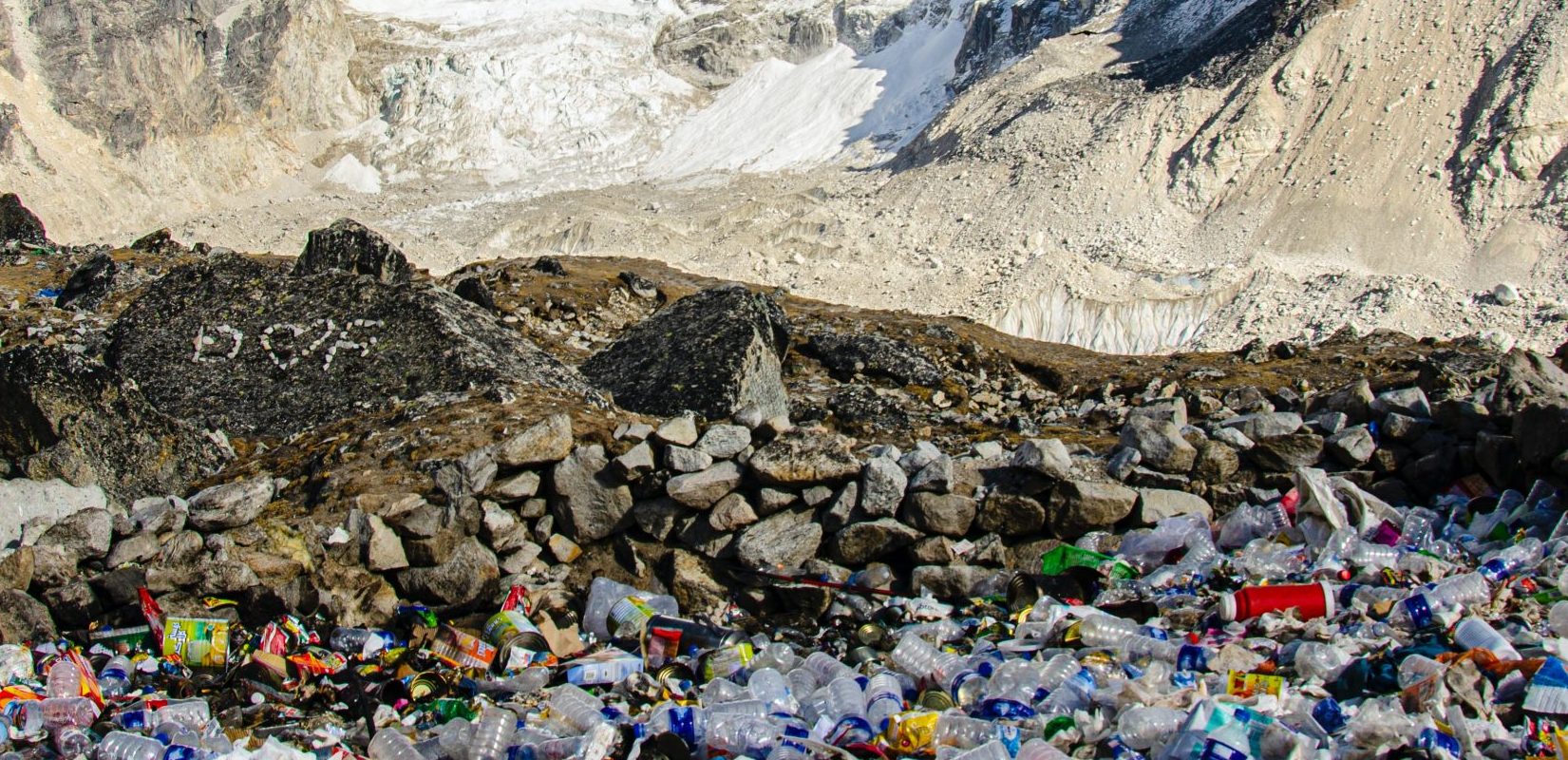 Circularity is in Nature - How circularity still features in our Nature ...