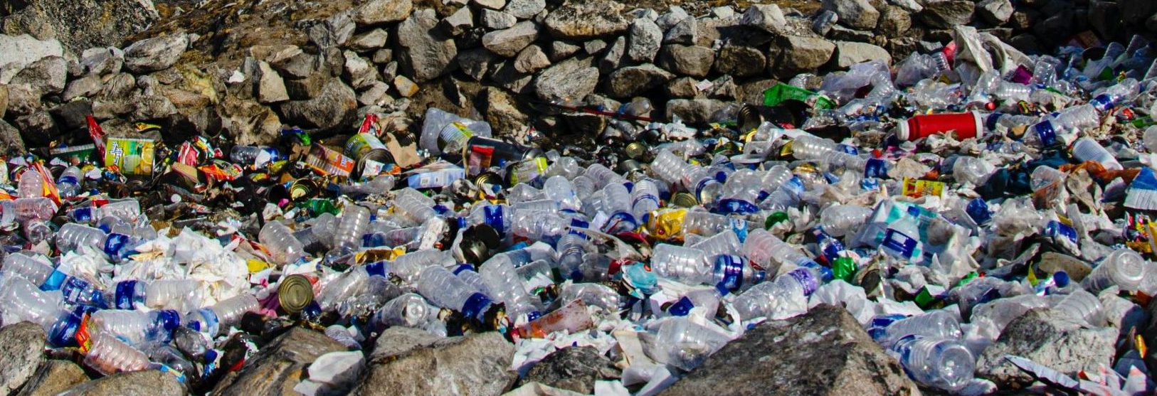 Circularity is in Nature - How circularity still features in our Nature ...