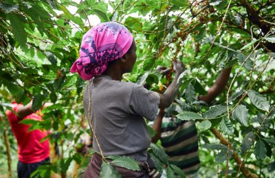 Home | World Benchmarking Alliance