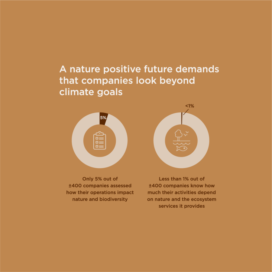 A nature-positive future demands that companies look beyond climate ...