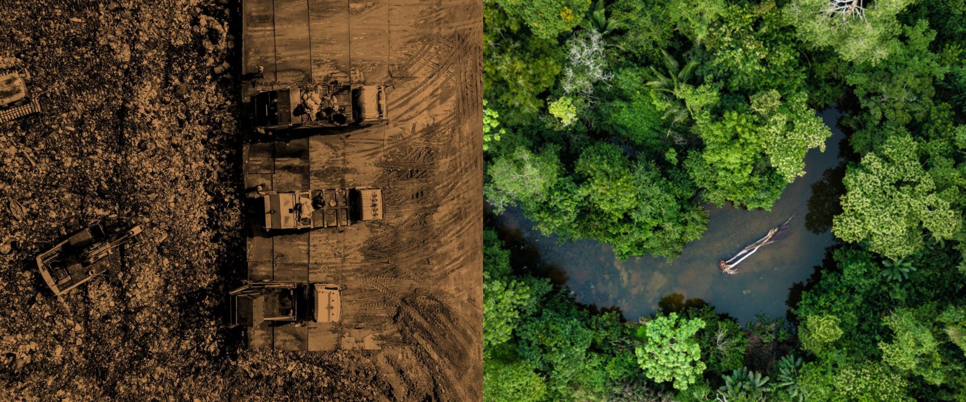 Nature is a blind spot for major companies despite its importance for ...