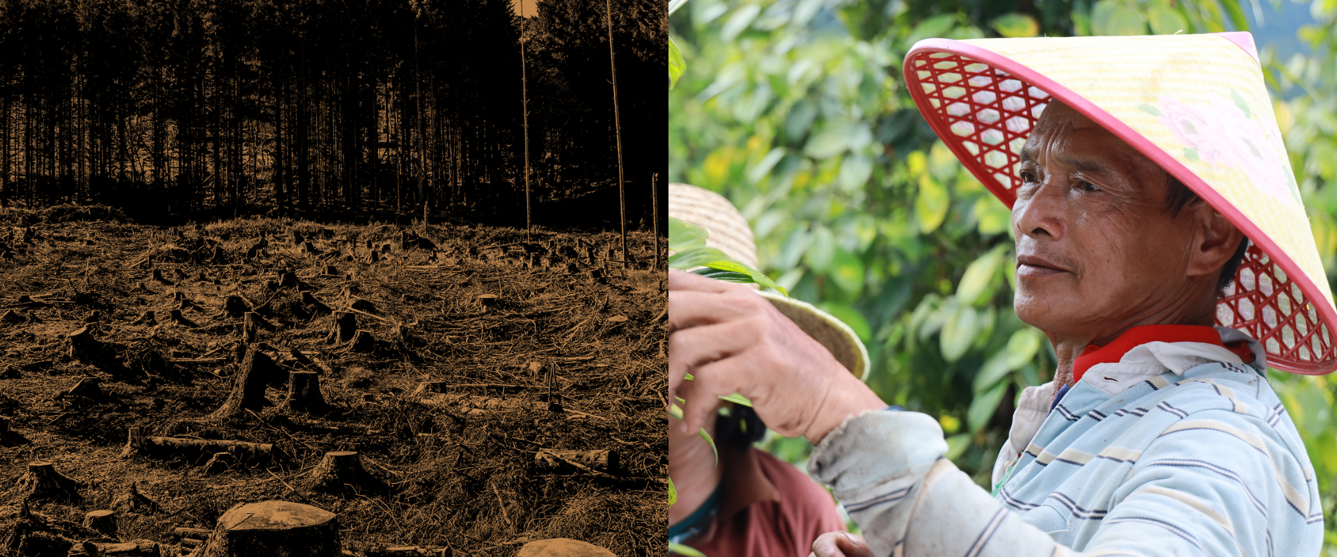 2023 Nature Benchmark Insights Report | World Benchmarking Alliance