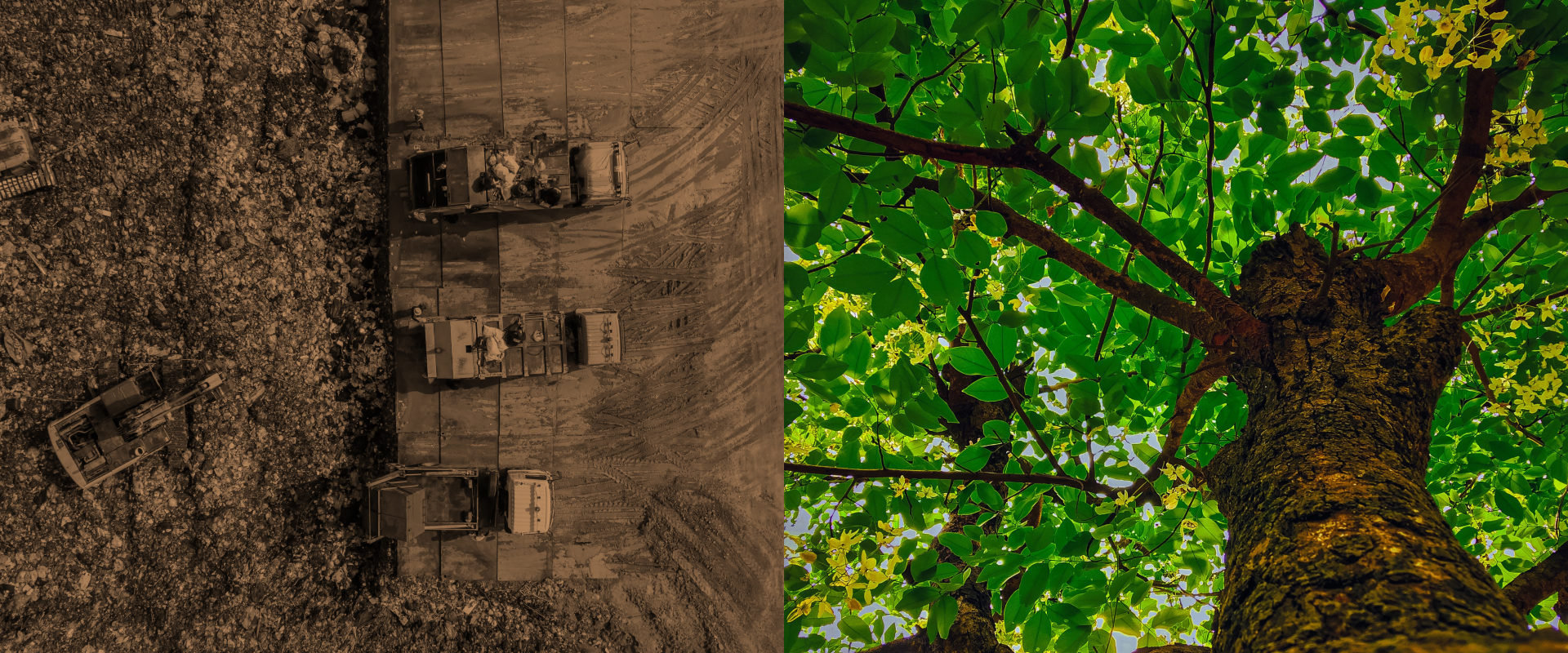 Nature Benchmark | World Benchmarking Alliance