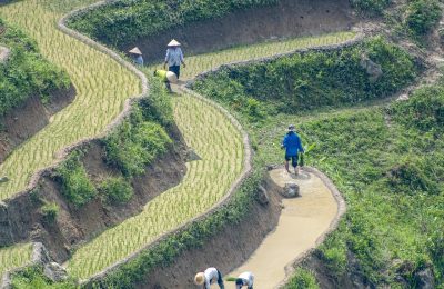 Home | World Benchmarking Alliance