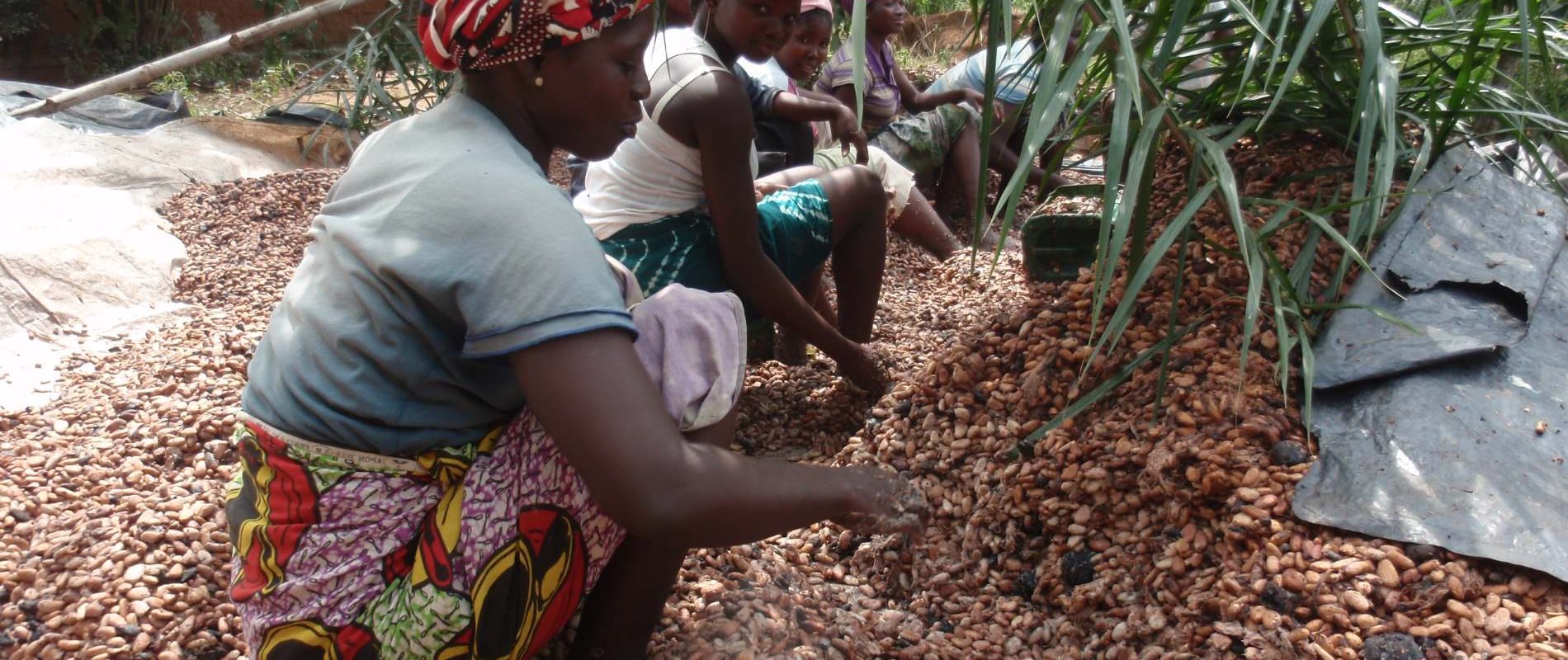 Corporate Human Rights Benchmark – Core UNGP Indicators (2024) | World ...