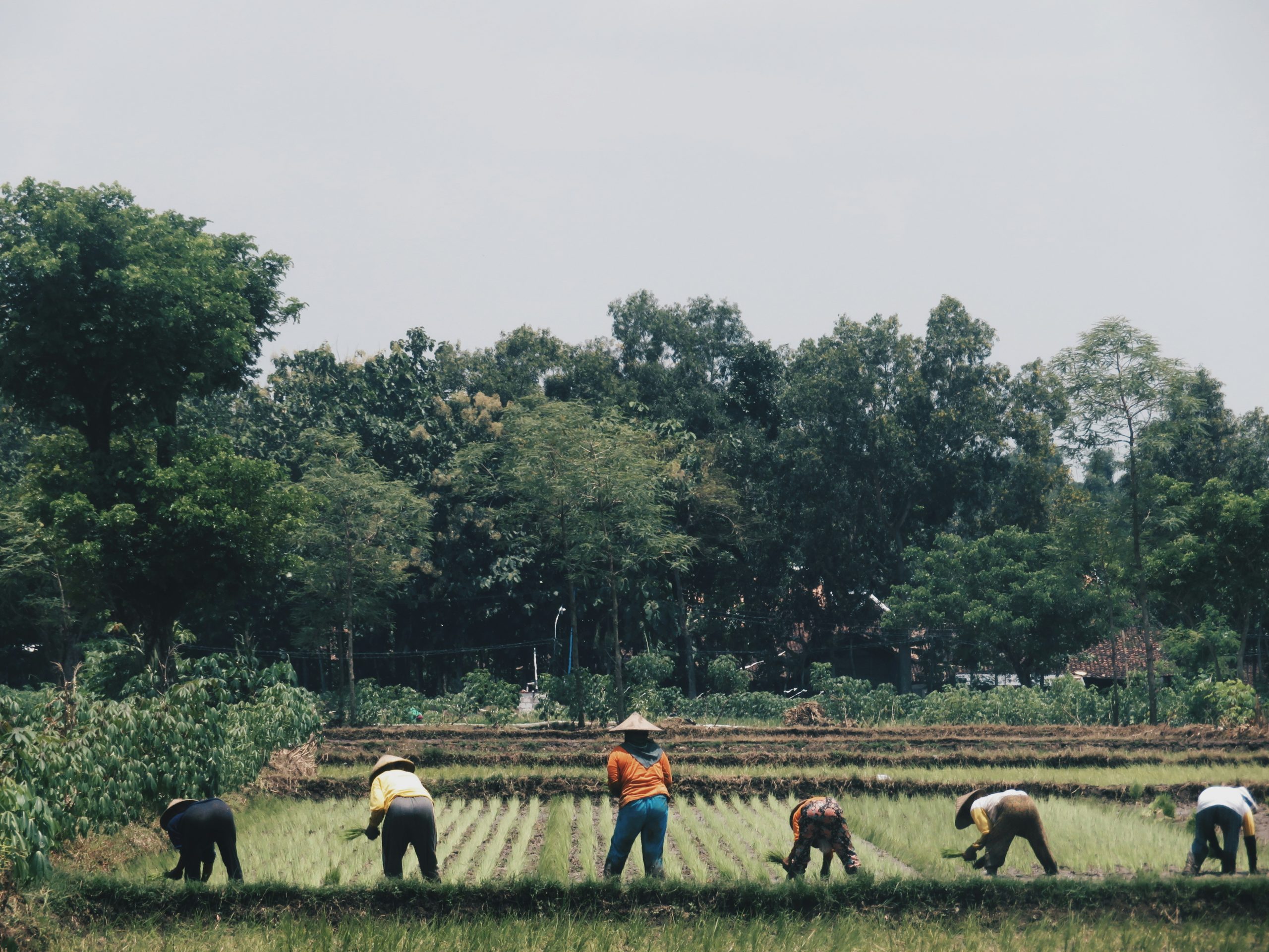 Mobilising multi-stakeholder networks for corporate accountability ...